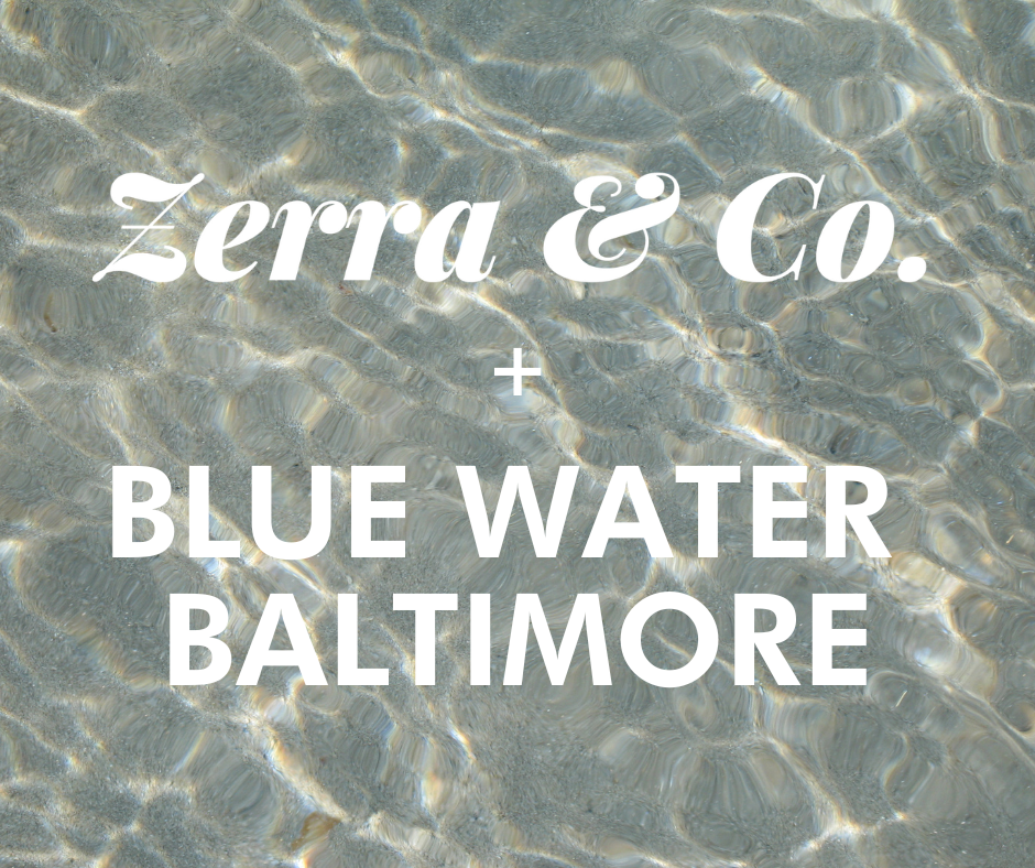 We're Partnering with Blue Water Baltimore for Earth Month – Zerra & Co.